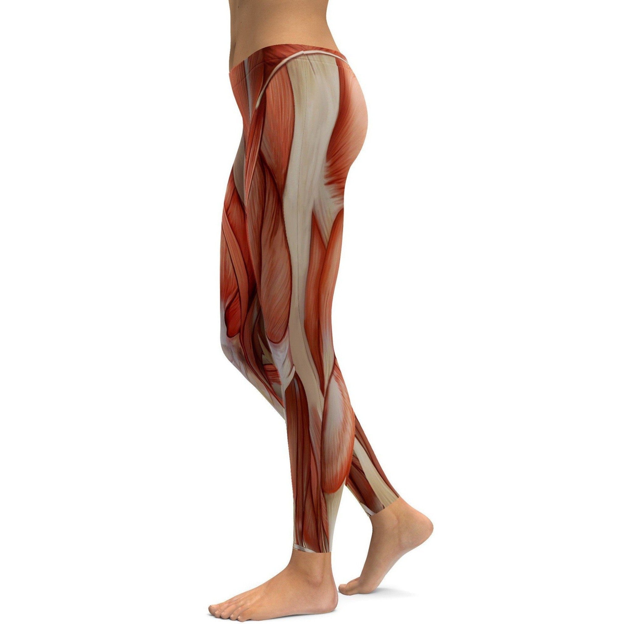 Realistic Human Muscles Leggings | Women's Leggings | GearBunch